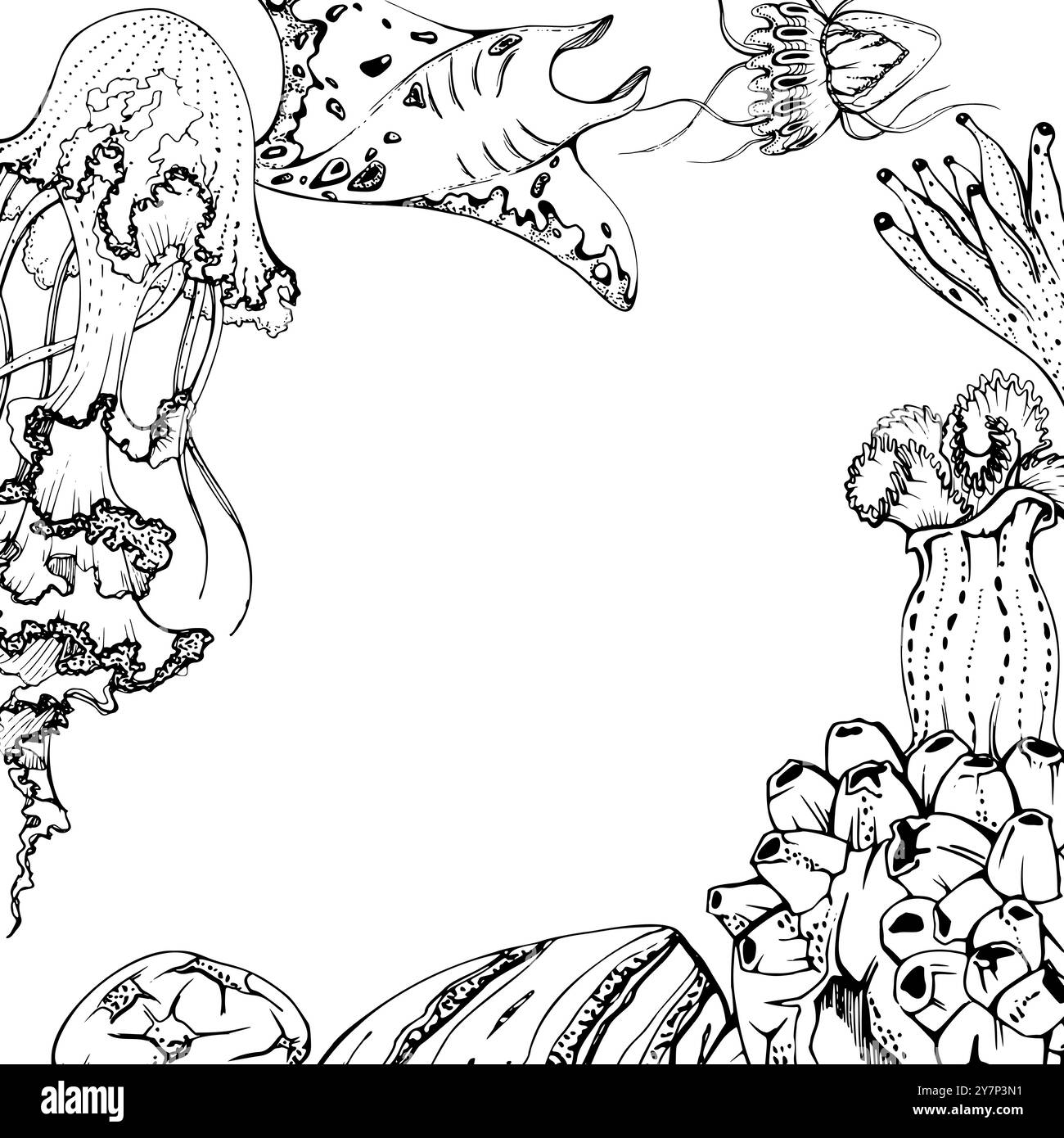 Marine life, sea ocean underwater creatures fish, shells algae seaweed ...