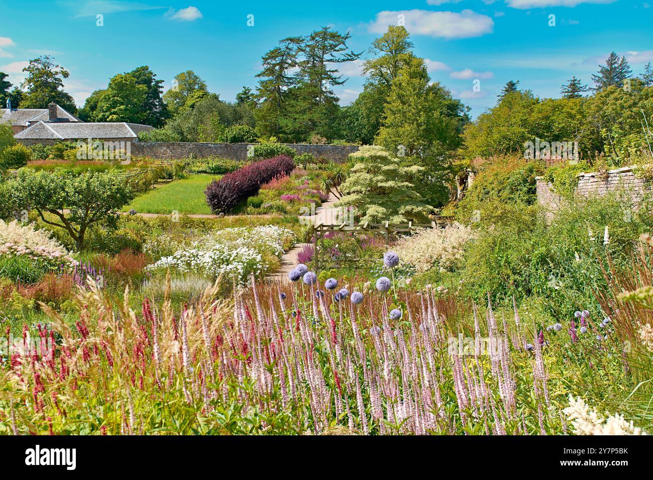 Cambo Gardens Fife Scotland in summer a blue sky over the walled garden ...