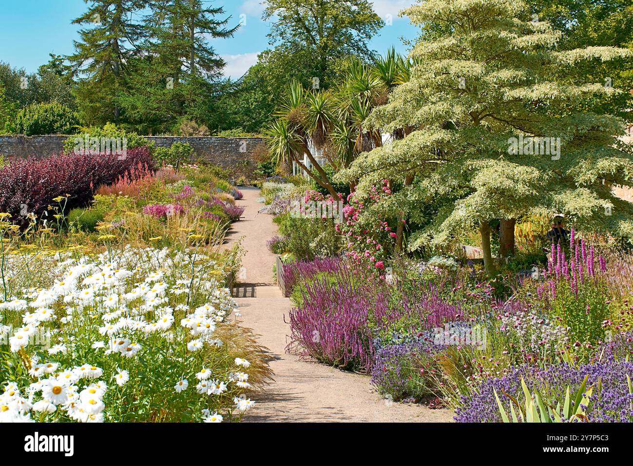 Cambo Gardens Fife Scotland in summer a blue sky over the walled garden the extensive borders ...