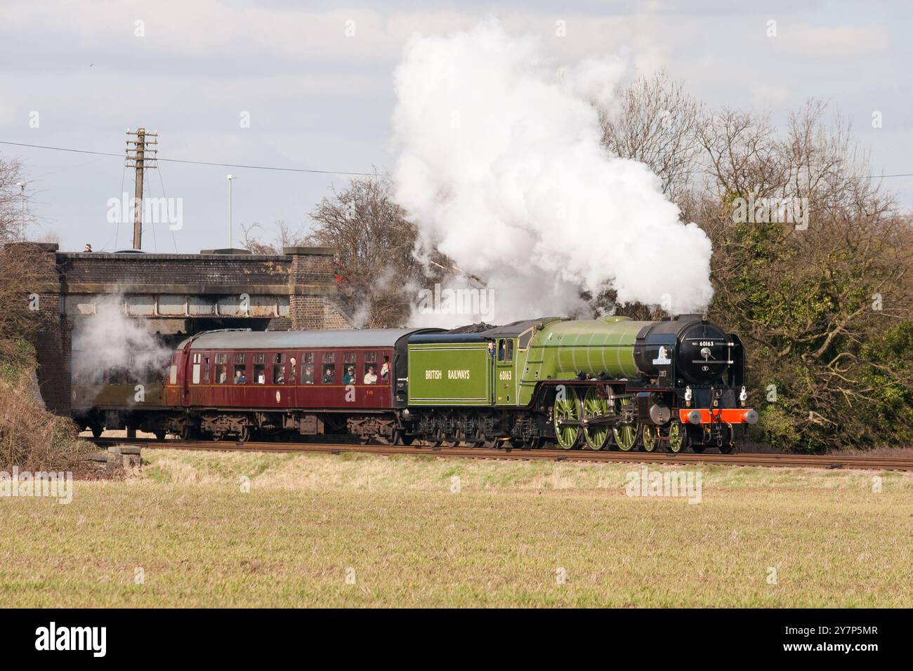 Tornado 60163 steam train hi-res stock photography and images - Alamy