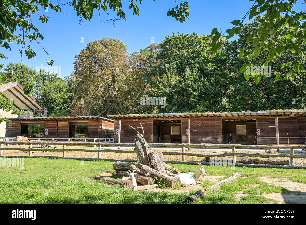Goats, cows, stable, estate at Britzer Castle, Alt-Britz, Neukölln ...