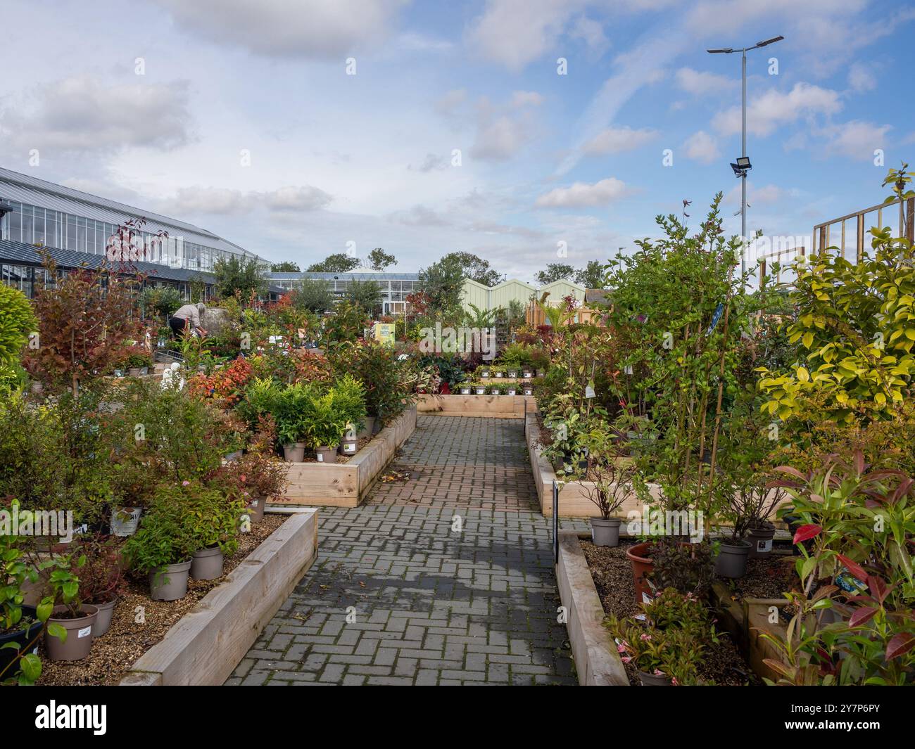Blue diamond garden centre hi-res stock photography and images - Alamy