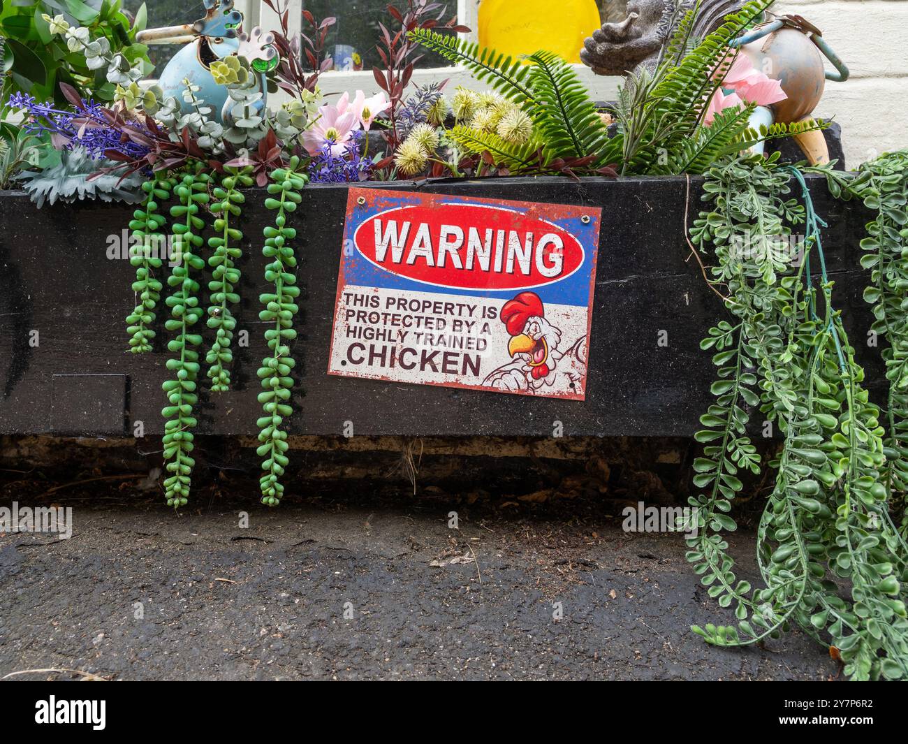 Warning this house is protected by a highly trained chicken; funny sign ...