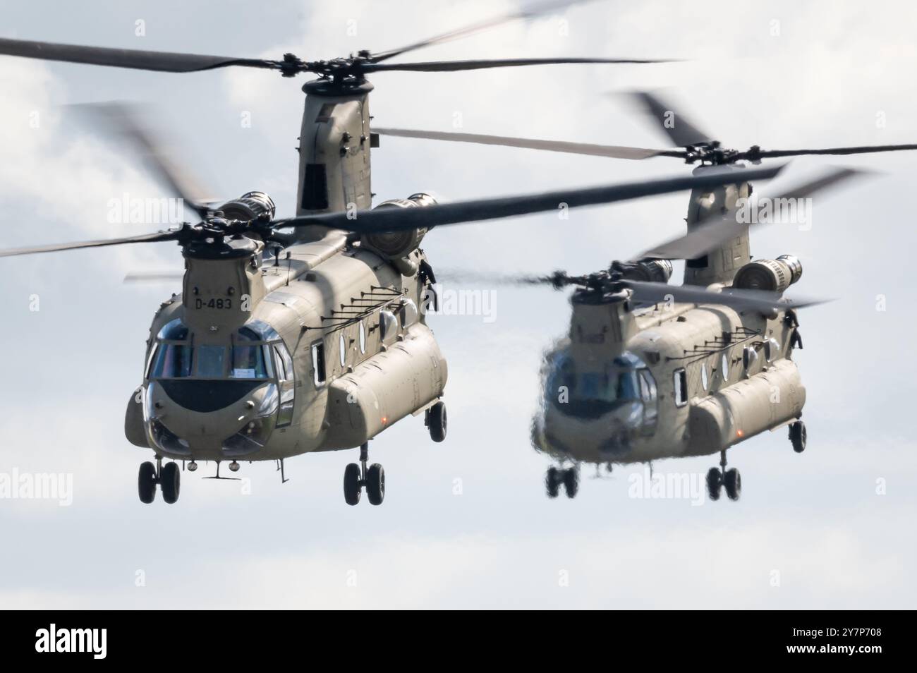 A Boeing CH-47F Chinook military transport helicopter of the Royal Netherlands Air Force Stock ...