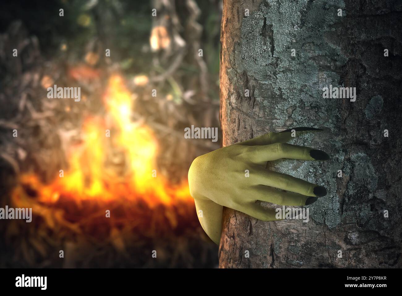 Witch hand reaching out from a tree trunk with a fire in the background ...