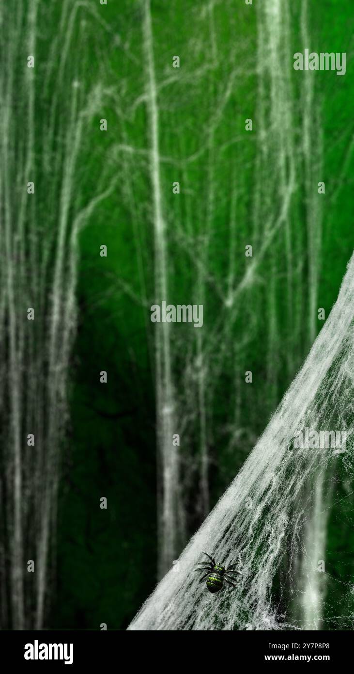 Spooky creepy cobweb spider web in the green dark room. The scene is ...