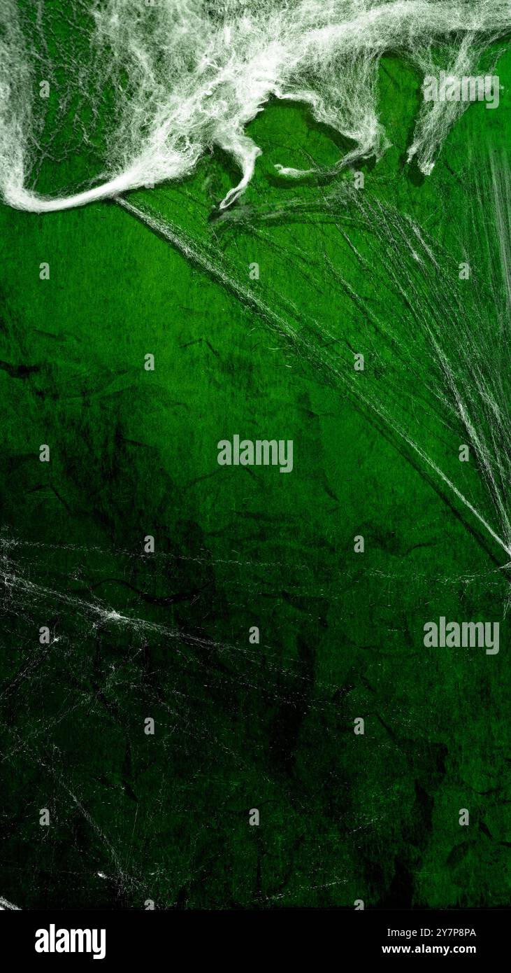Spooky creepy cobweb spider web in the green dark room. The scene is ...