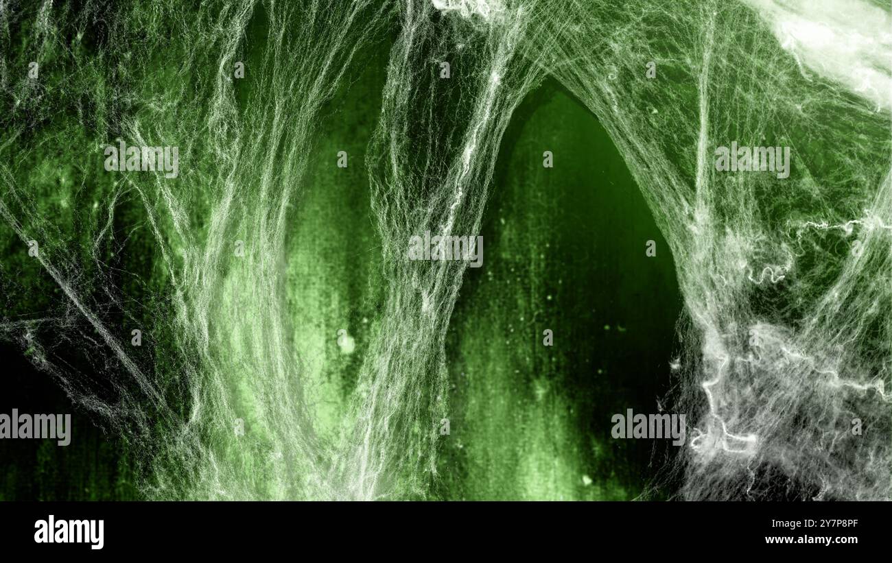 Spooky creepy cobweb spider web in the green dark room. The scene is ...