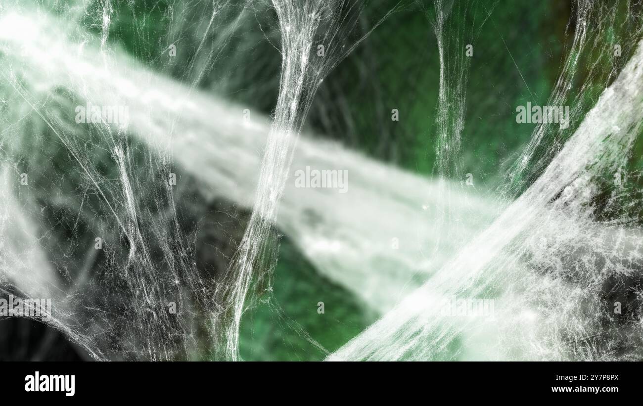 Spooky creepy cobweb spider web in the green dark room. The scene is ...