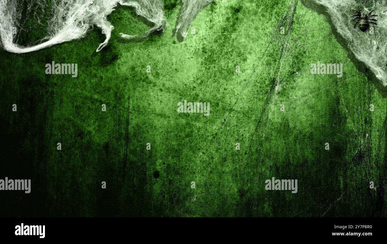 Spooky creepy cobweb spider web in the green dark room. The scene is ...