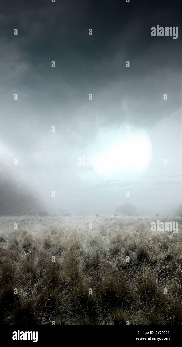 Full moon is shining in the sky above a field of tall grass. Sky is ...