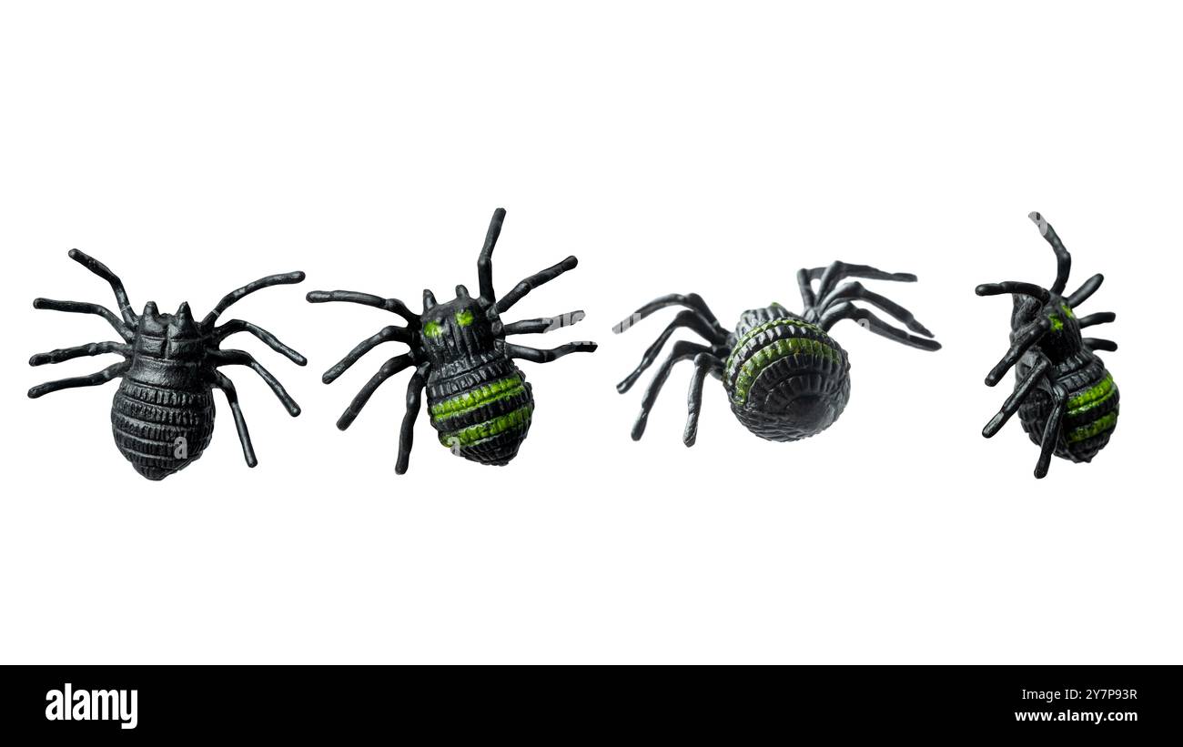 Set of creepy looking spiders, with one of them having green stripe ...