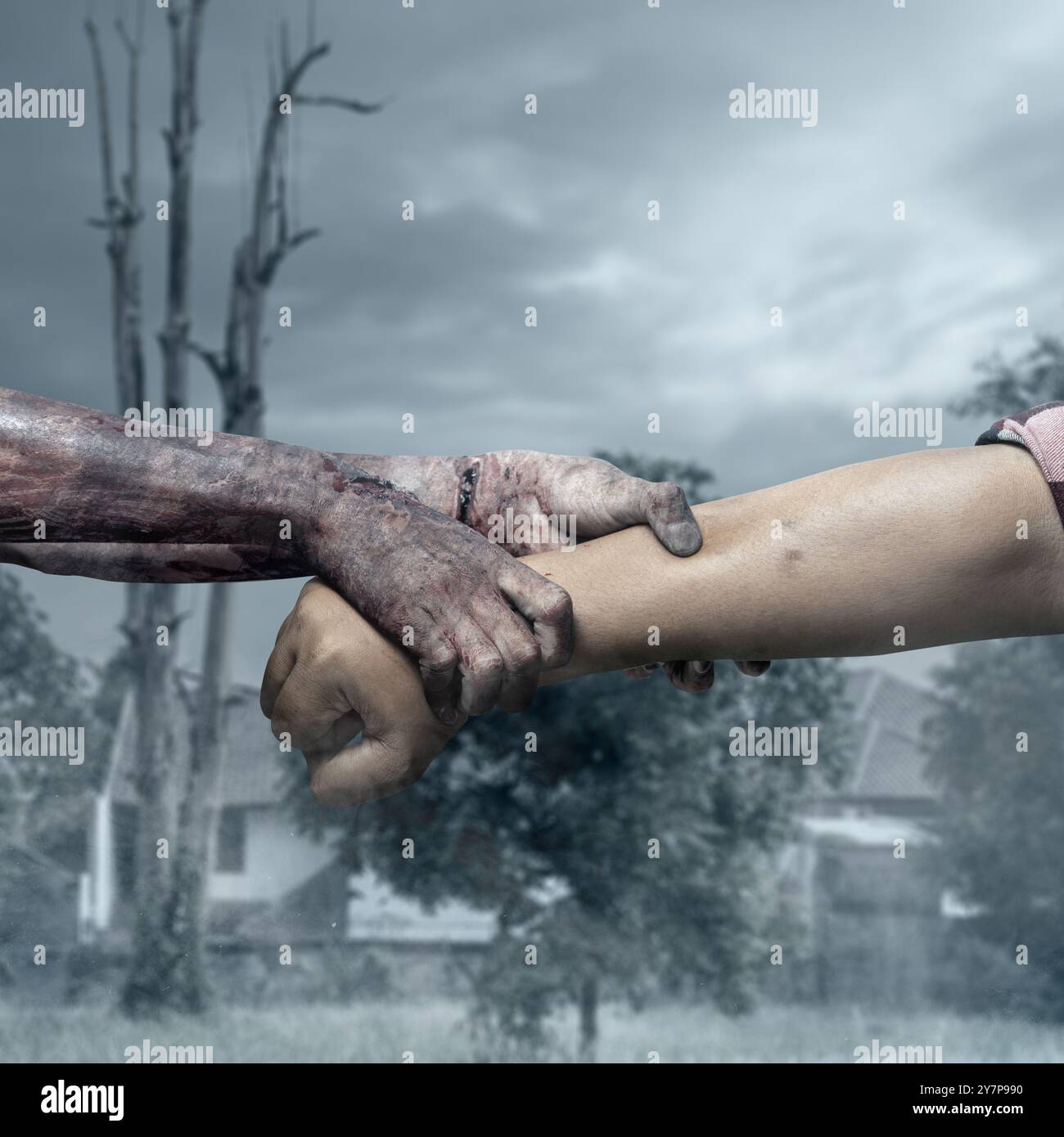 A zombie hand with a bloody wound grabs a human hand with midnight ...