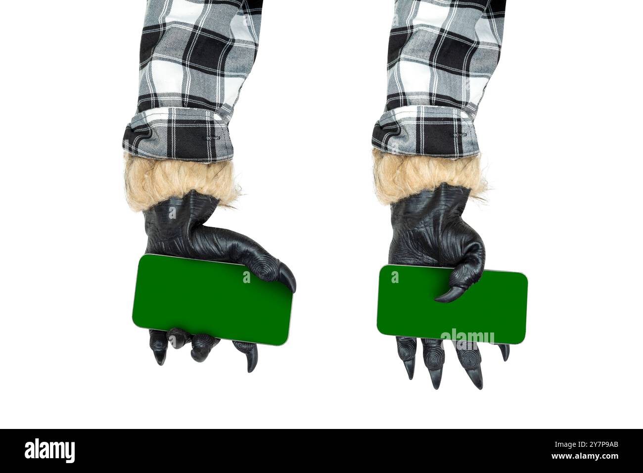 Two werewolf hand with fur and black claws holding a mobile phone or ...