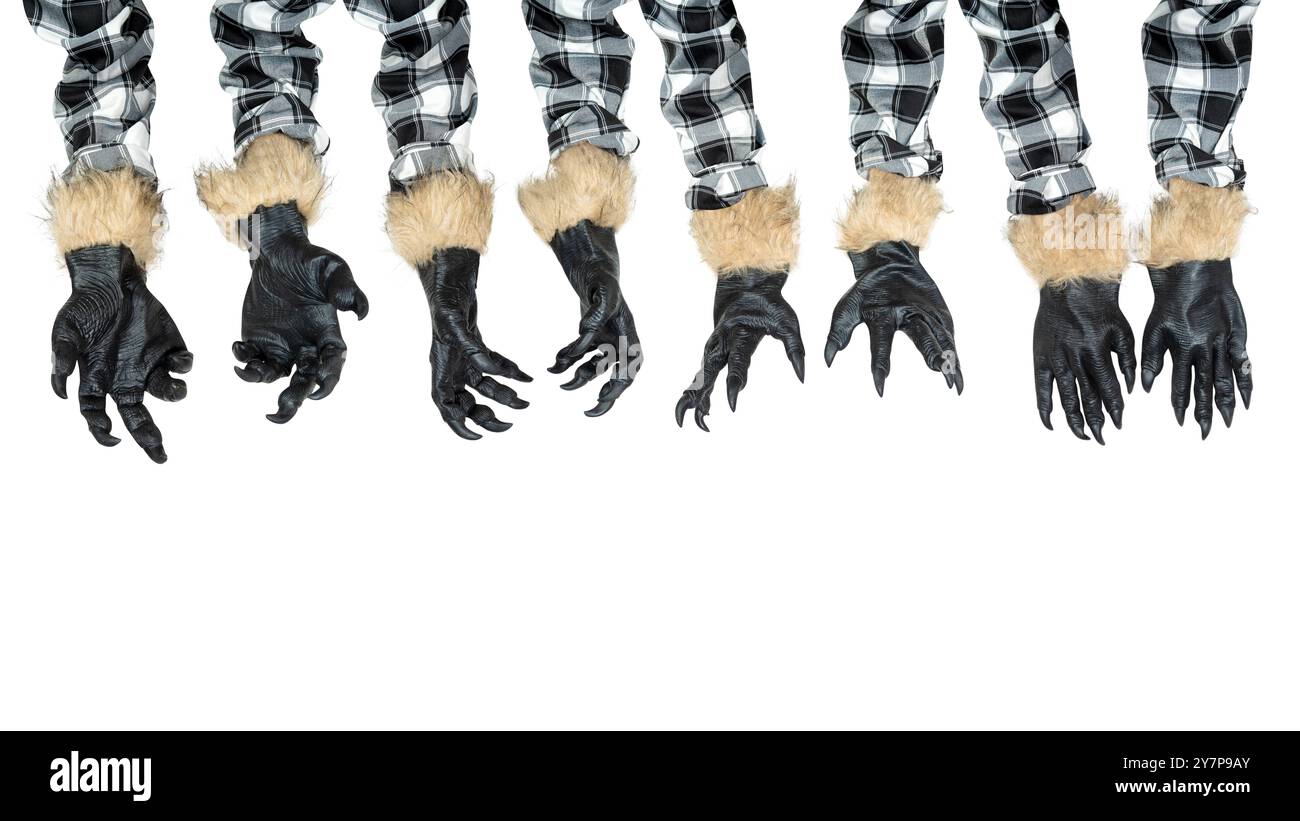Set of werewolf hands with fur and black claws. Scary claw of werewolf ...