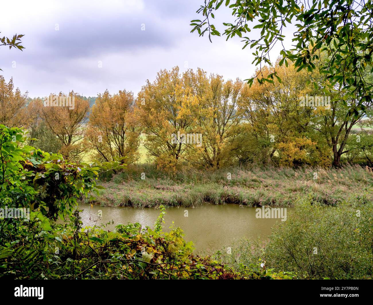 Autumn colours beside a pond in North Yorkshire, England Stock Photo ...