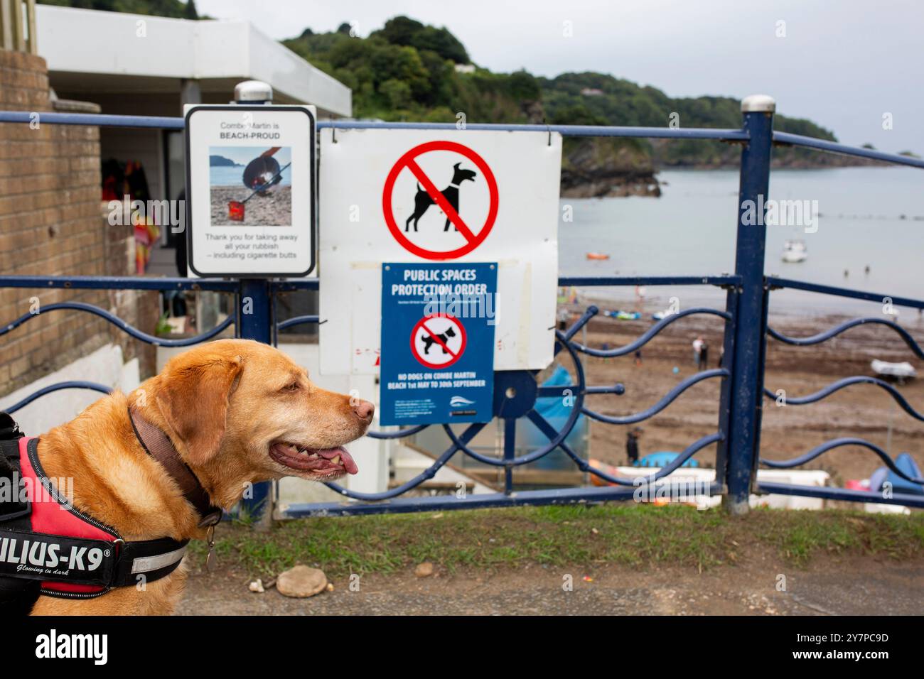A dog is pictured in front of a protection order sign indicating that ...