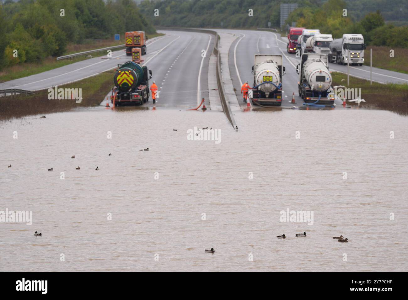 Ducks swim in flood water on the A421 in Marston Moretaine ...