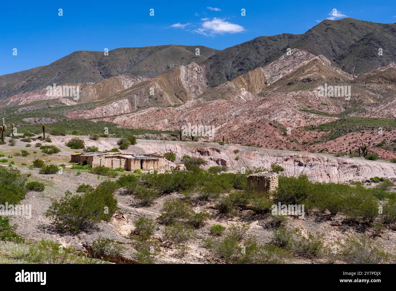 Ruins of an old hacienda in the Calchaqui Valley between Los Cardones ...