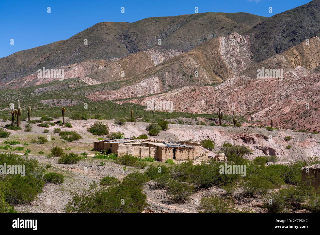 Ruins of an old hacienda in the Calchaqui Valley between Los Cardones ...