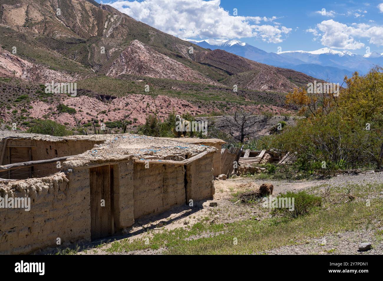 Ruins of an old hacienda in the Calchaqui Valley between Los Cardones ...