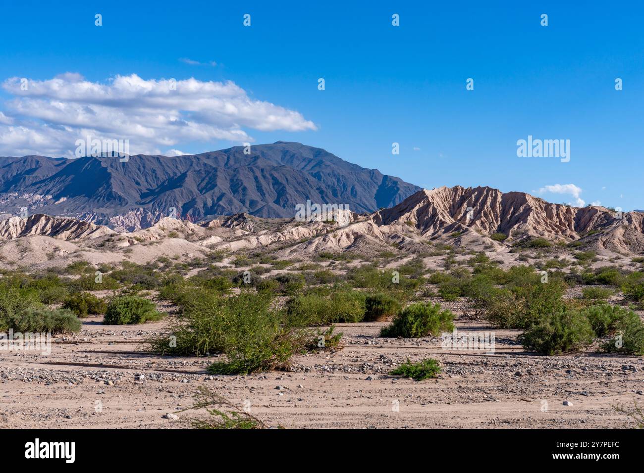 The eroded landscape of the Calchaqui Valley in Salta Province ...