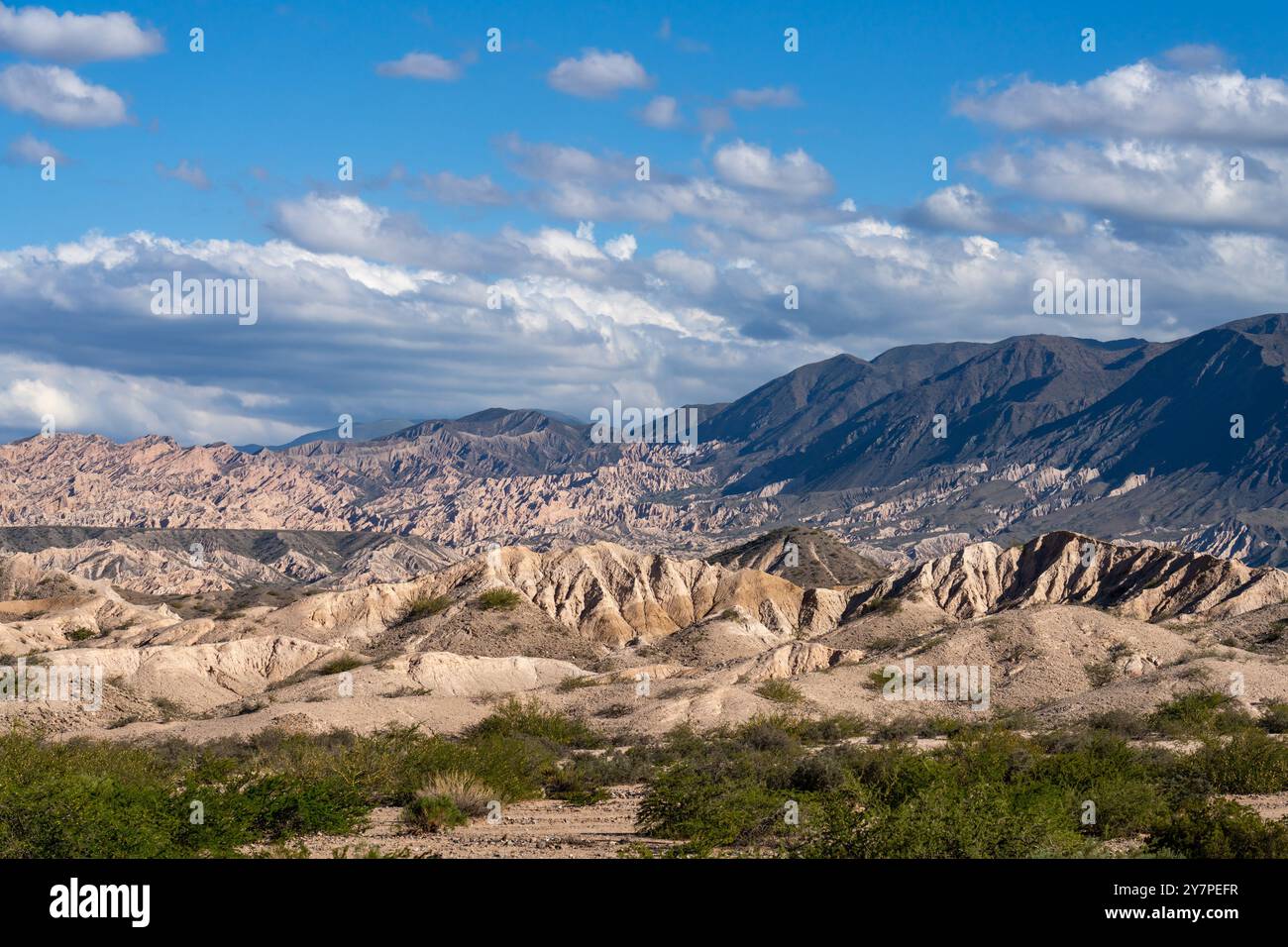 The fantastic eroded landscape of the Angastaco Natural Monument in the ...