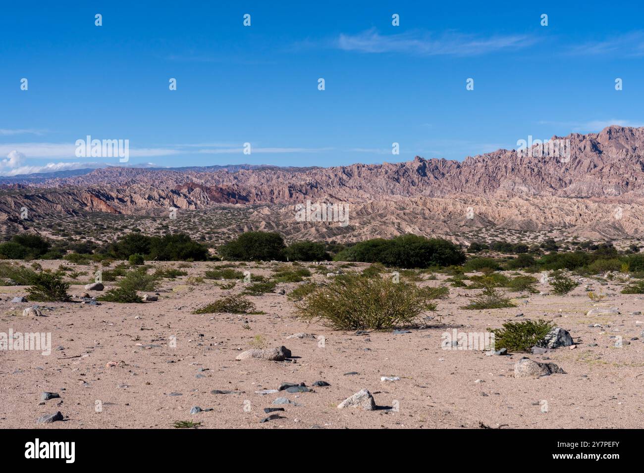 The eroded landscape of the Calchaqui Valley in Salta Province ...