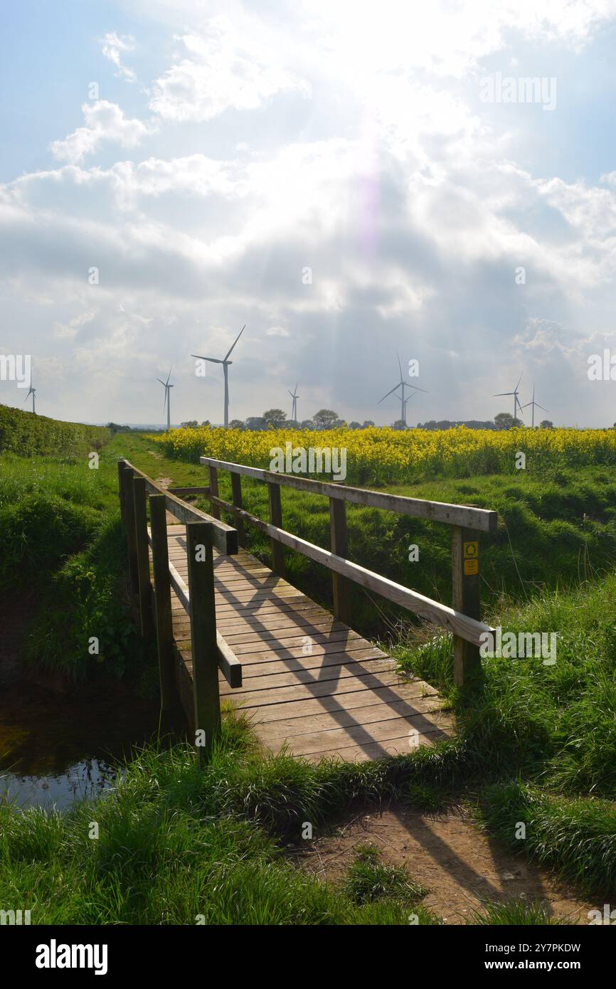 Summer fields sunshine farm hi-res stock photography and images - Alamy