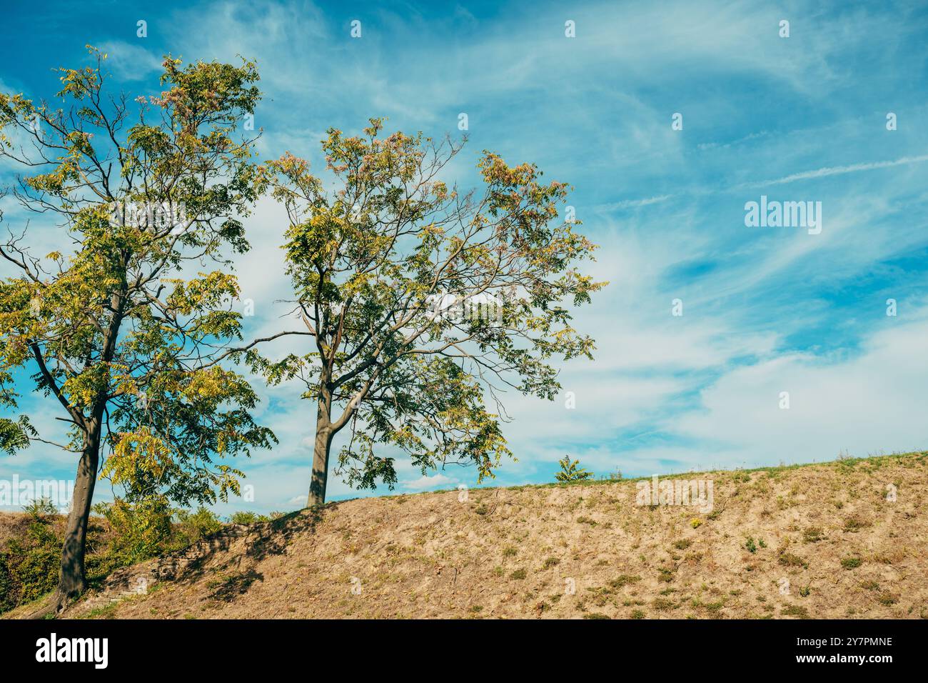Scenic landscape two trees hi-res stock photography and images - Alamy