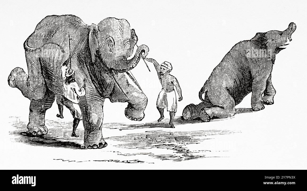 Burmese elephant dance, Burma, Myanmar. Southeast Asia. Travel to the ...