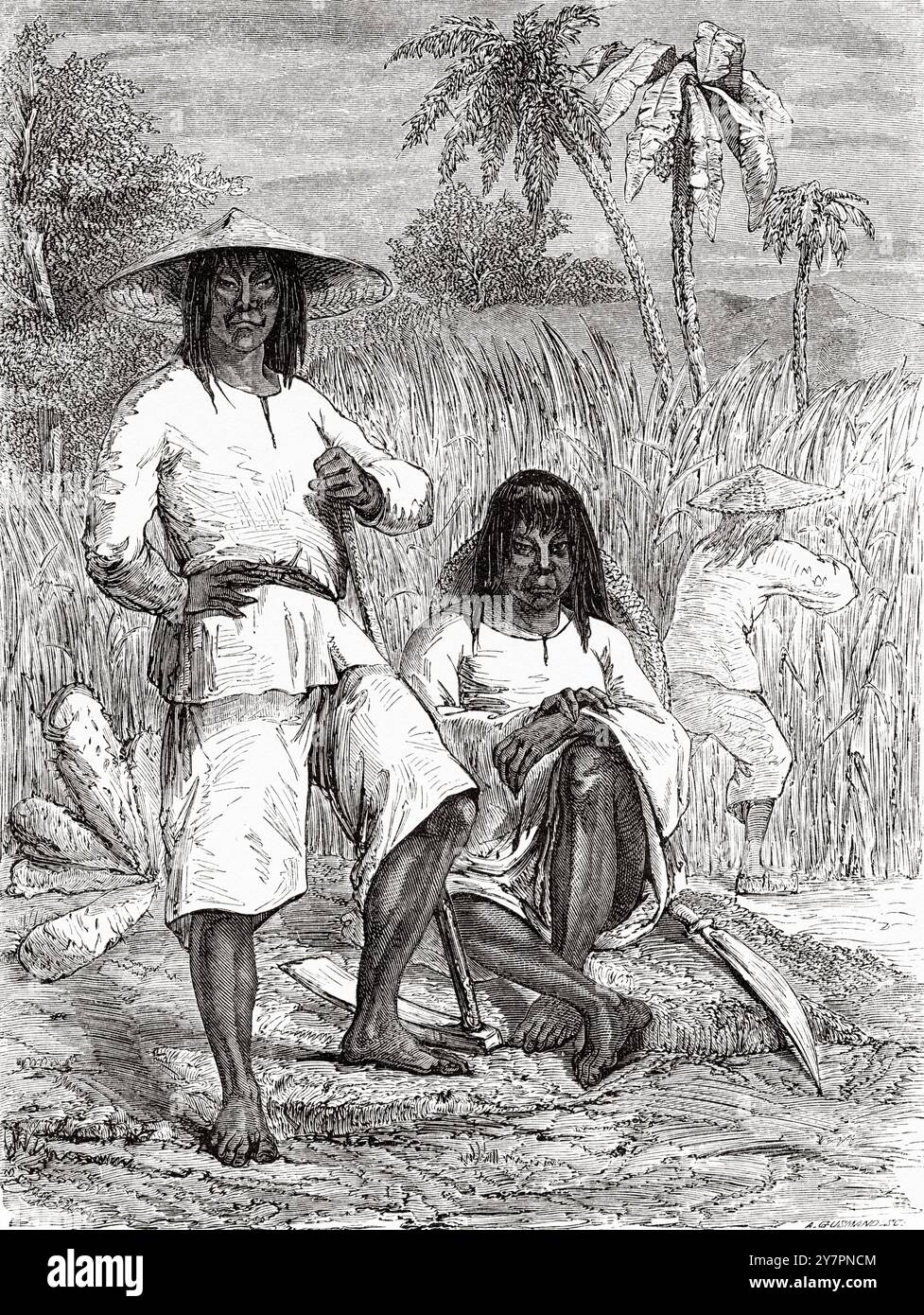 Chinese caribbean historical hi-res stock photography and images - Alamy