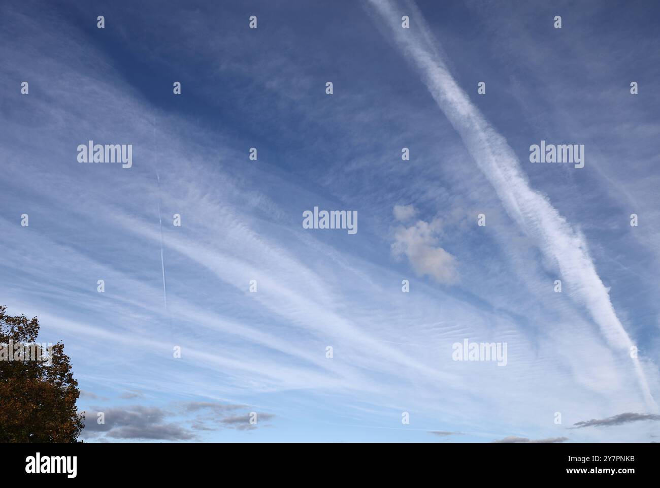 Verbreitern hi-res stock photography and images - Alamy