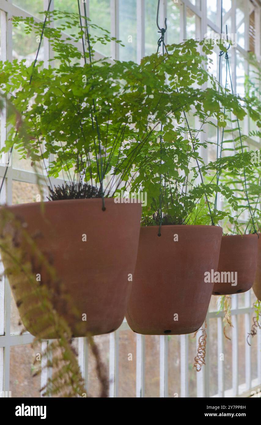 Sintra, Portugal, Aug 8th, 2024: Quinta da Regaleira, one of the ...