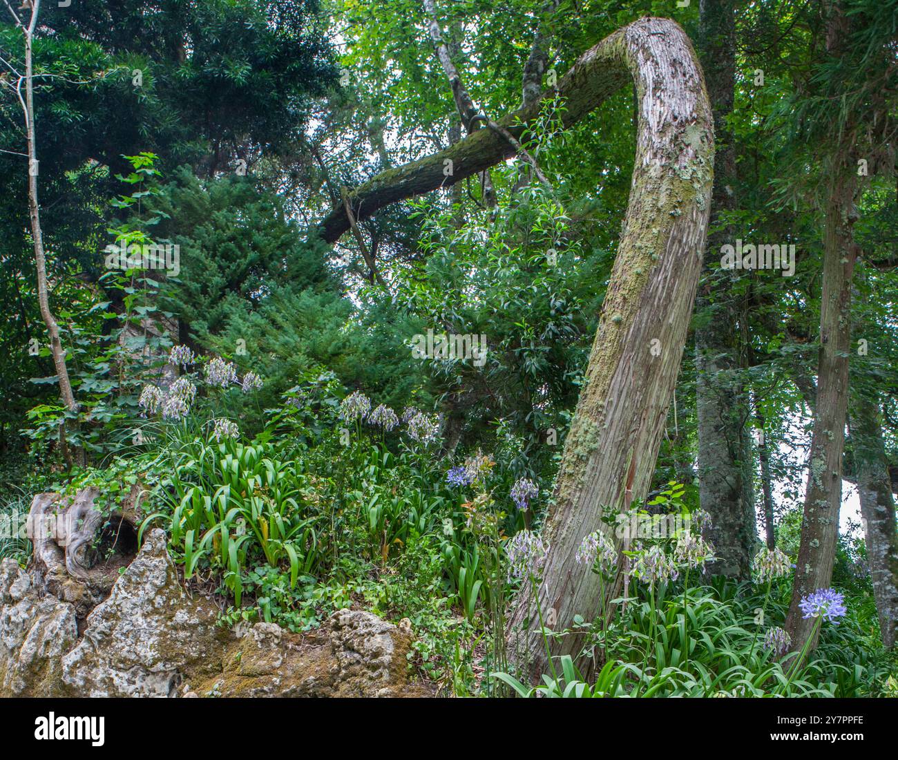 Sintra, Portugal, Aug 8th, 2024: Quinta da Regaleira, one of the principal tourist attractions ...