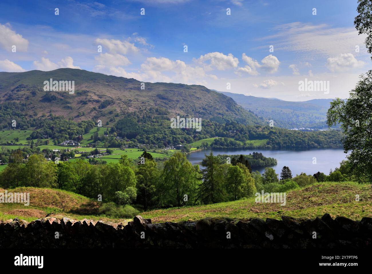 High view of Grasmere village and lake from Silver Howe fell, Lake ...