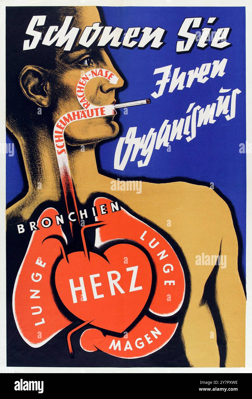 German anti-smoking campaign poster - protect your organism - Lungs ...