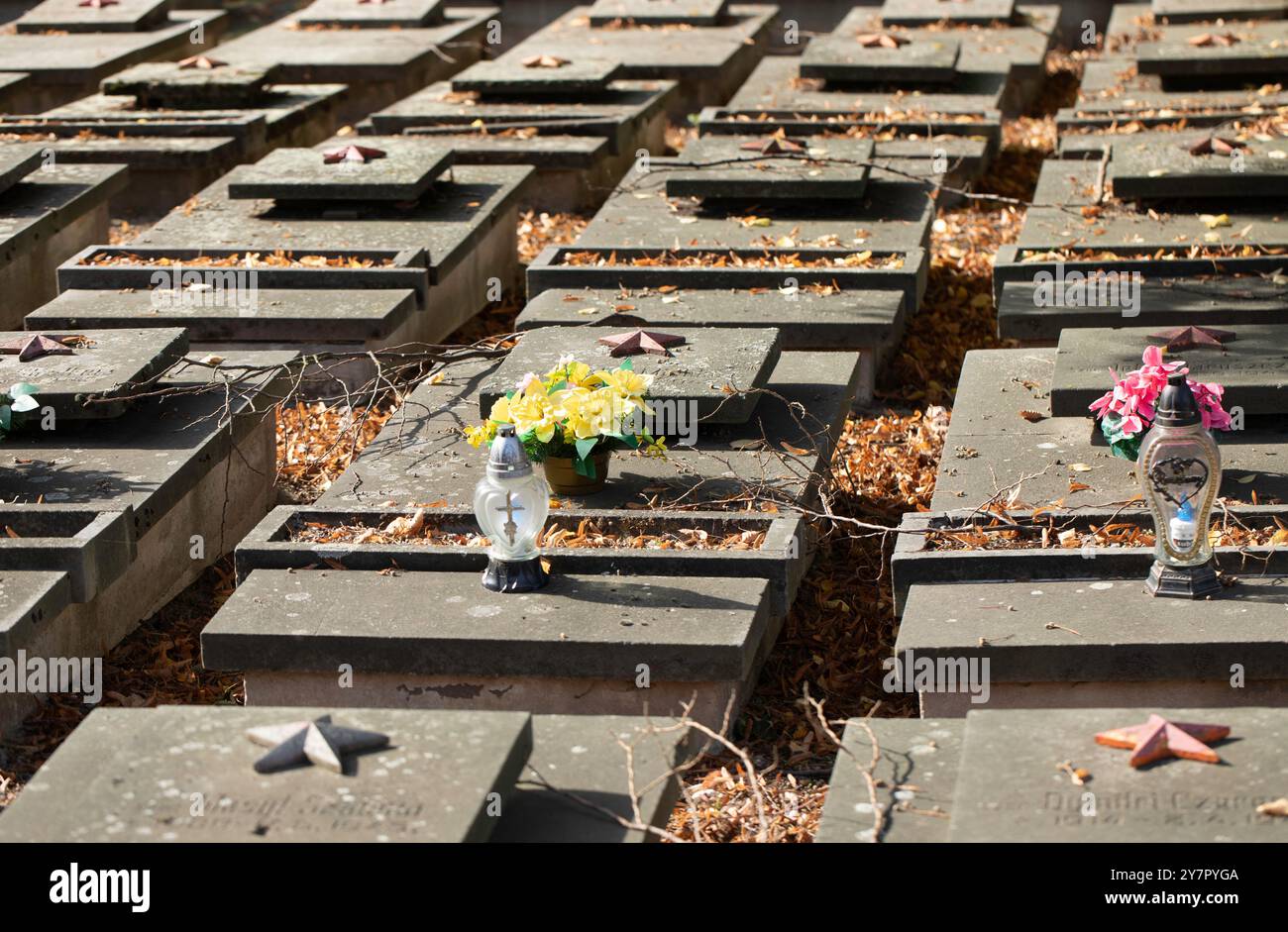Graves of Soviet soldiers in the cemetery in Gniezno. World War II.Red ...