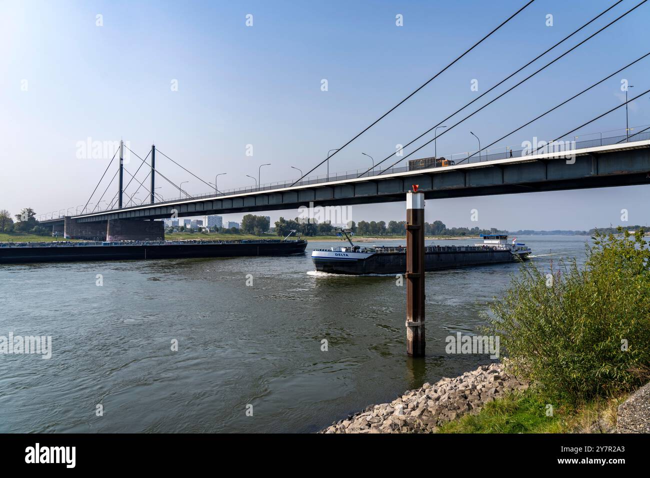 The Theodor-Heuss-Bridge, Rhine crossing, cable-stayed bridge, first ...
