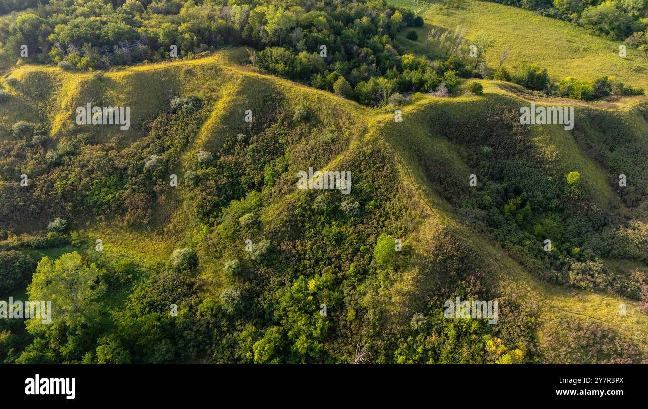 Aerial photograph of Folsum Point Preserve, a property protected by The ...
