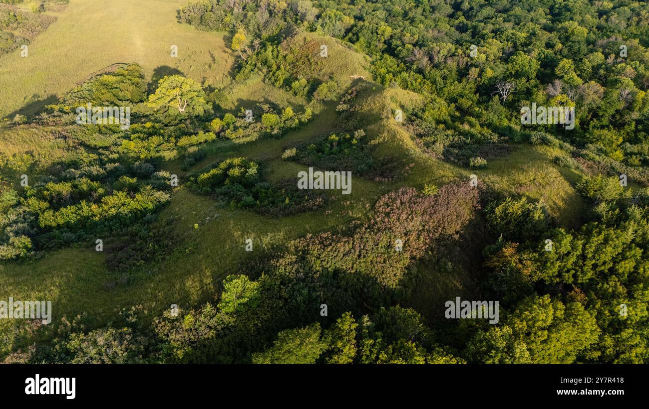 Aerial photograph of Folsum Point Preserve, a property protected by The ...