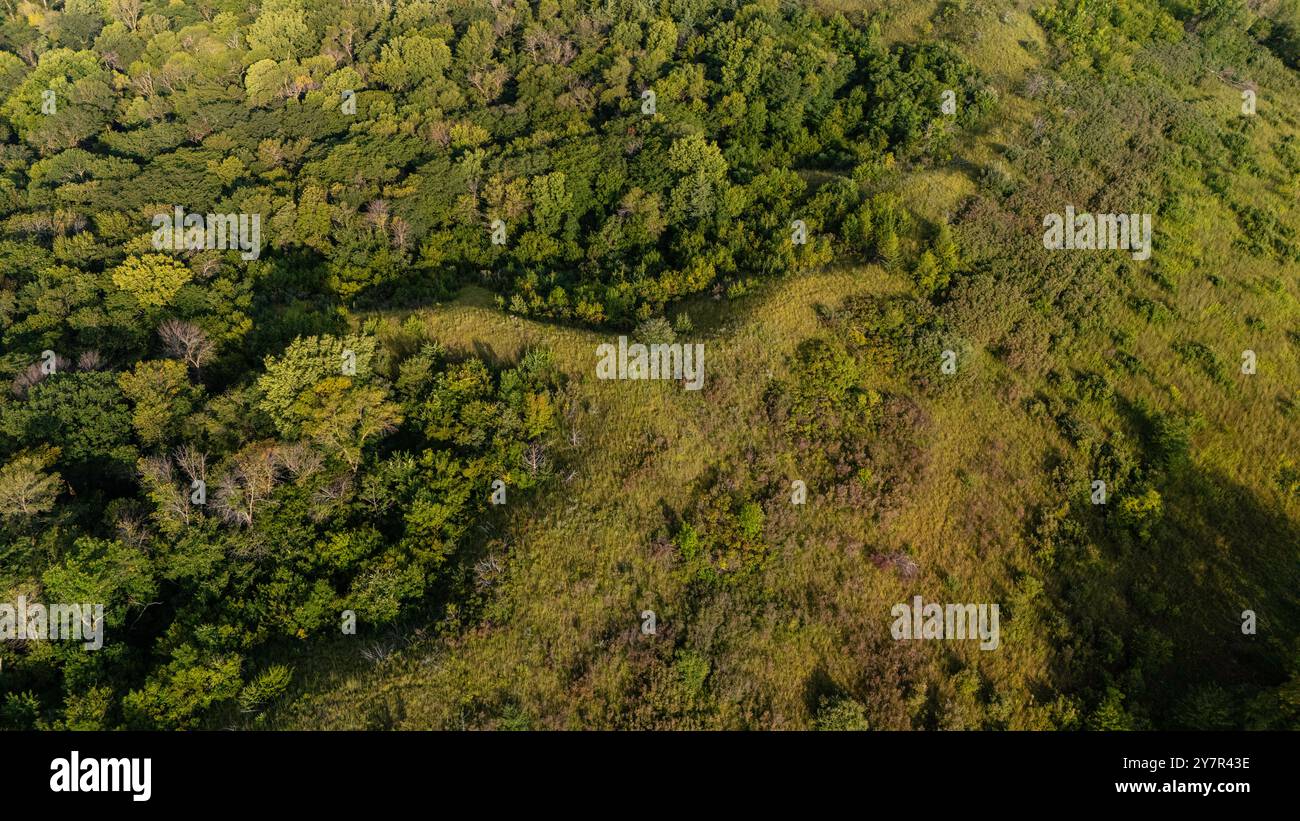 Aerial photograph of Folsum Point Preserve, a property protected by The ...
