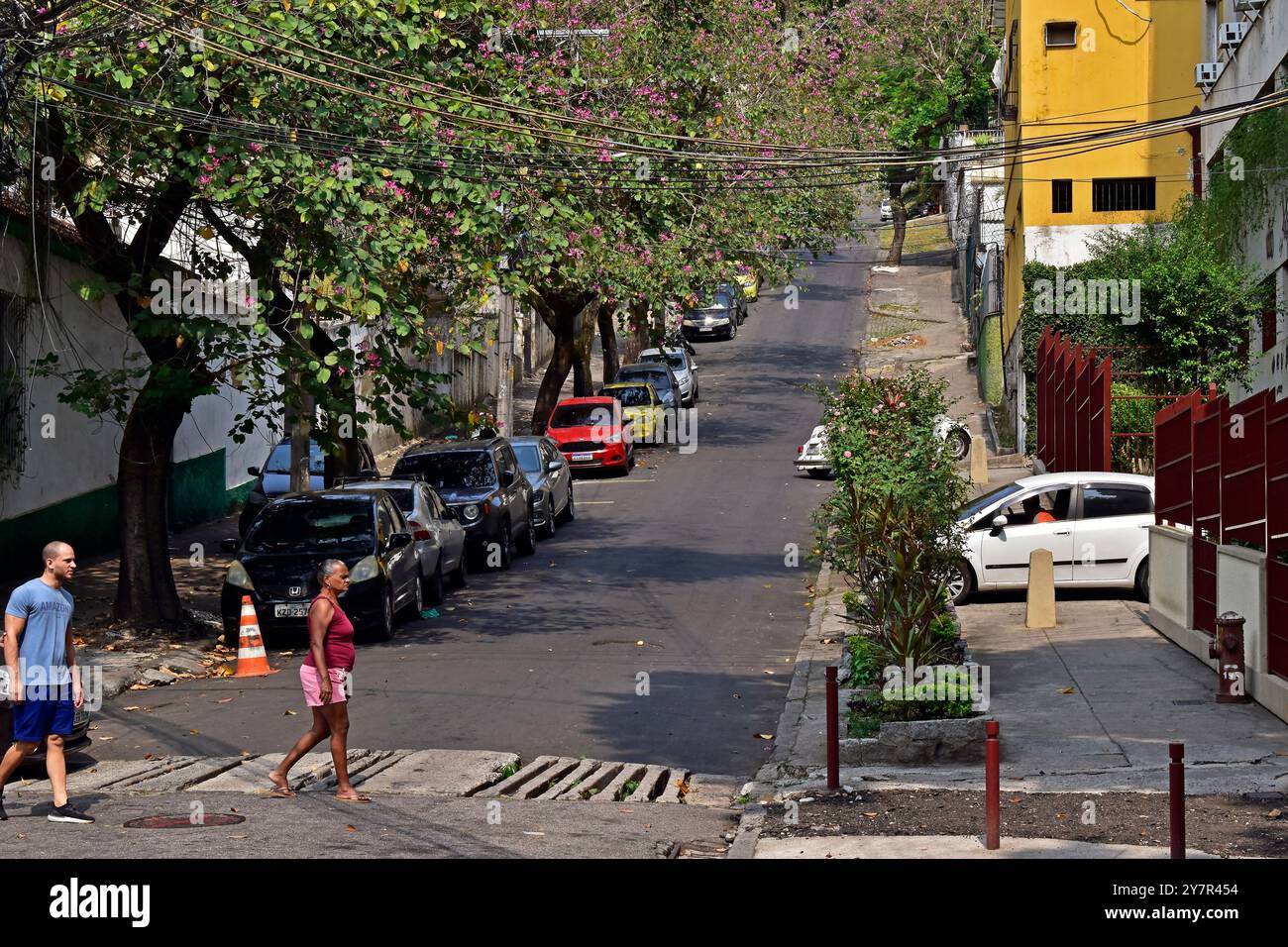 RIO DE JANEIRO, BRAZIL - September 19, 2024: Typical street on Tijuca ...