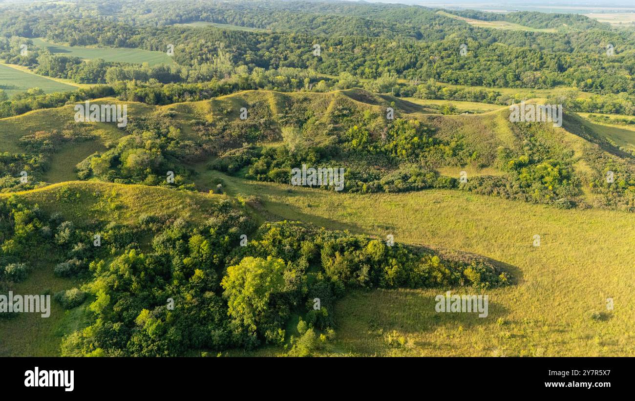 Aerial photograph of Folsum Point Preserve, a property protected by The ...