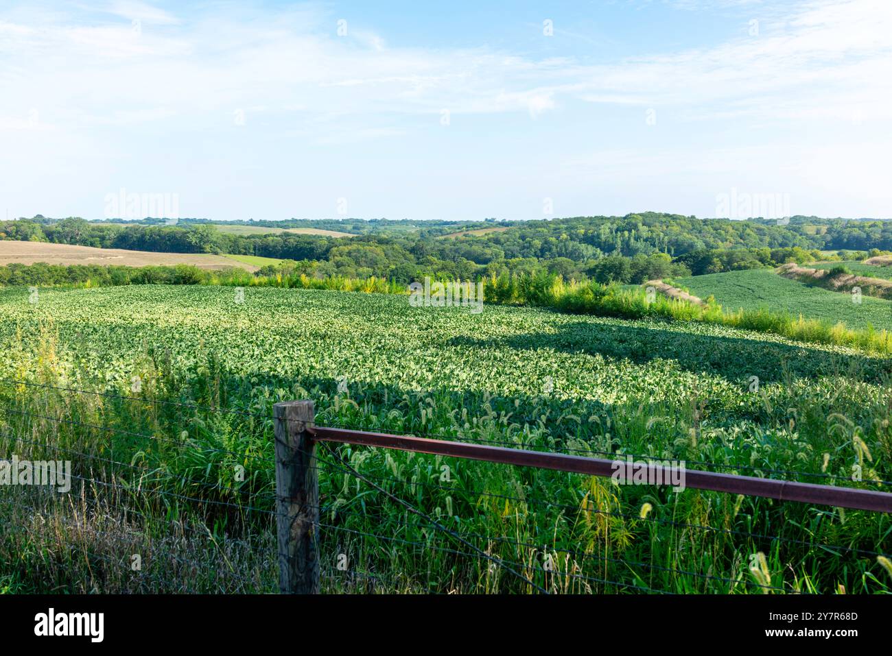 Soybean mills hi-res stock photography and images - Alamy
