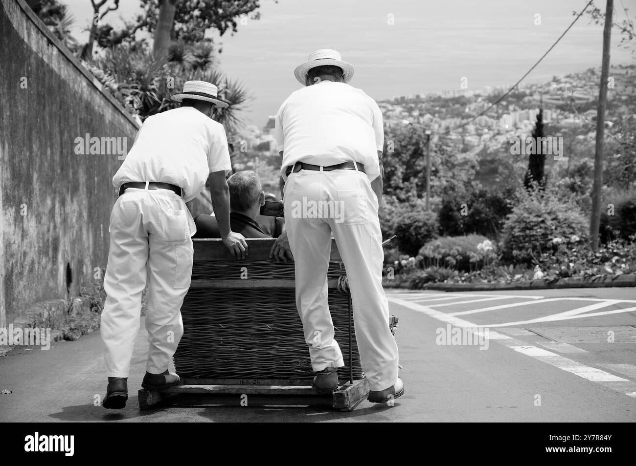 Black and white shot of two carreiros pushing a wicker sledge down a ...