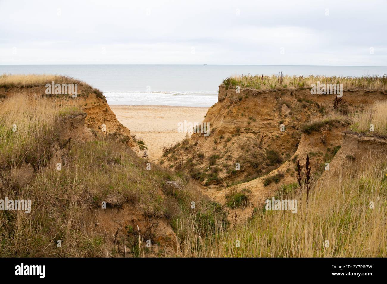 Coastal erosion and cliff collapse, sand dunes, Happisburgh, Norfolk ...