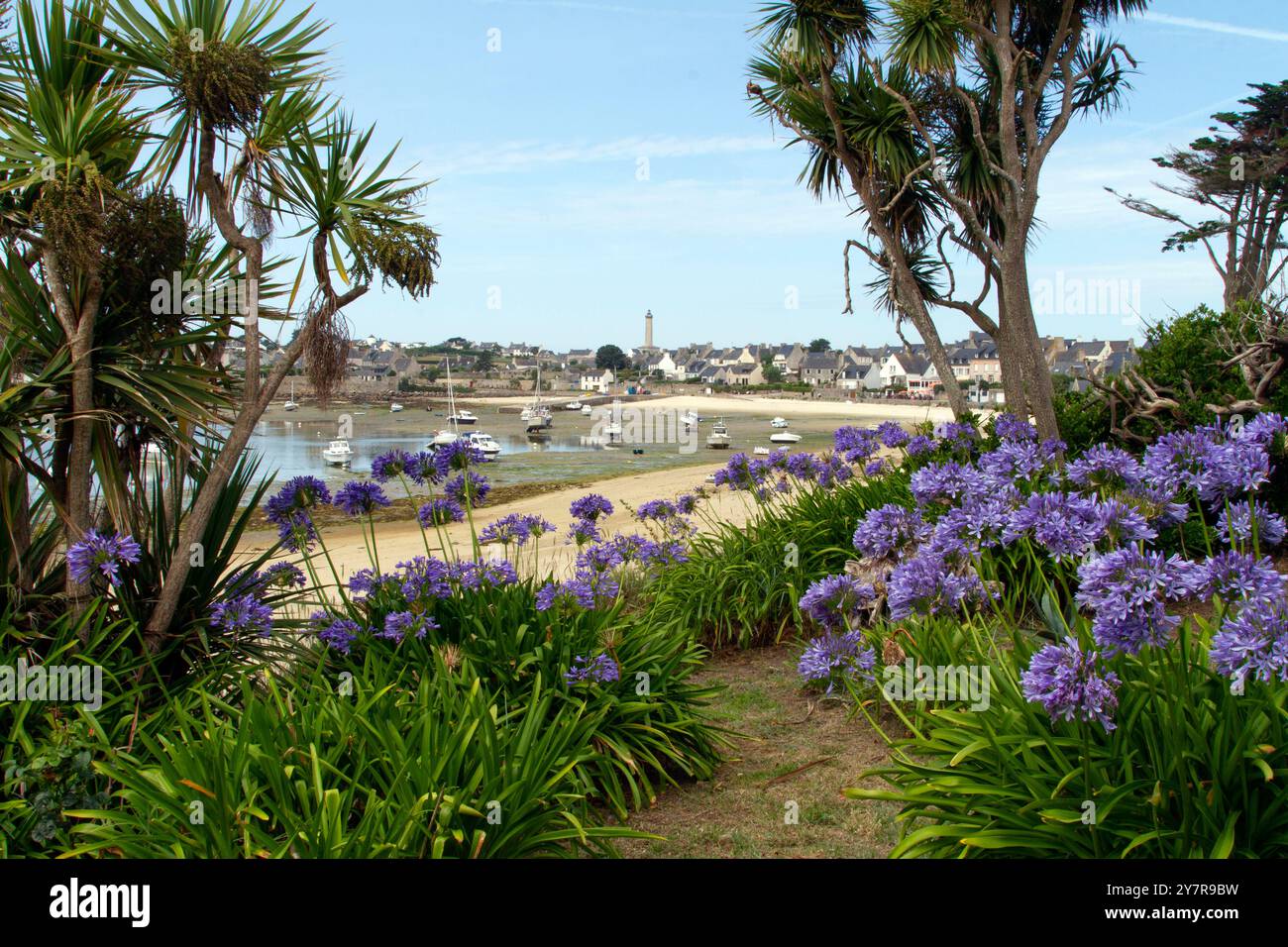 Île de Batz Stock Photo - Alamy