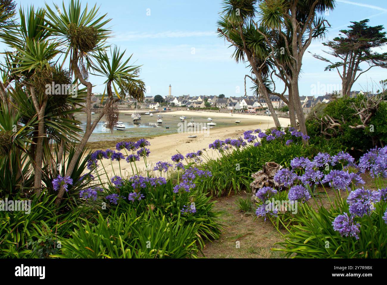 Île de Batz Stock Photo - Alamy