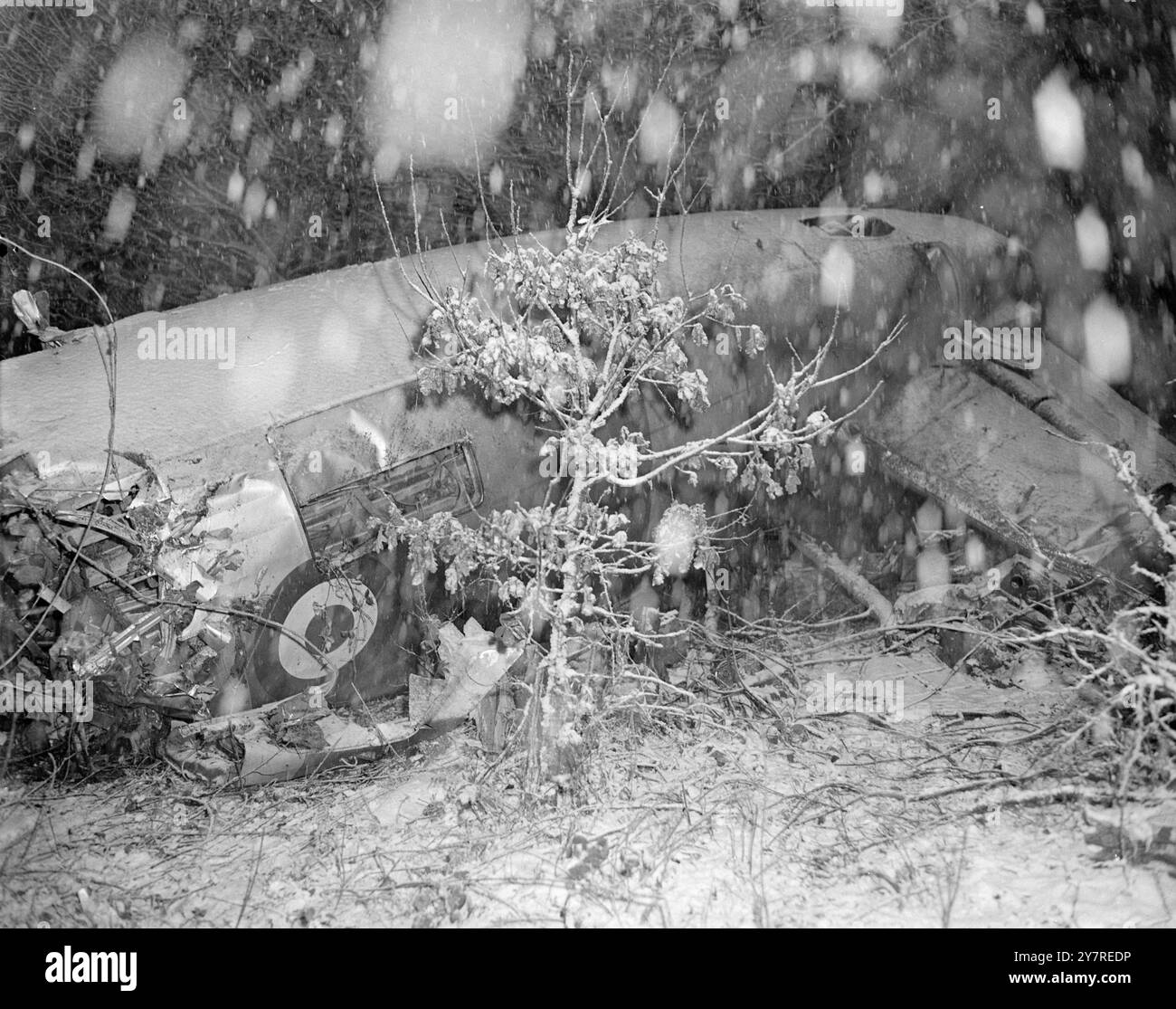 RAF TRANSPORT PLANE CRASHES IN SNOW BLIZZARD. 20 CARRYING RUGBY TEAM. 6 ...